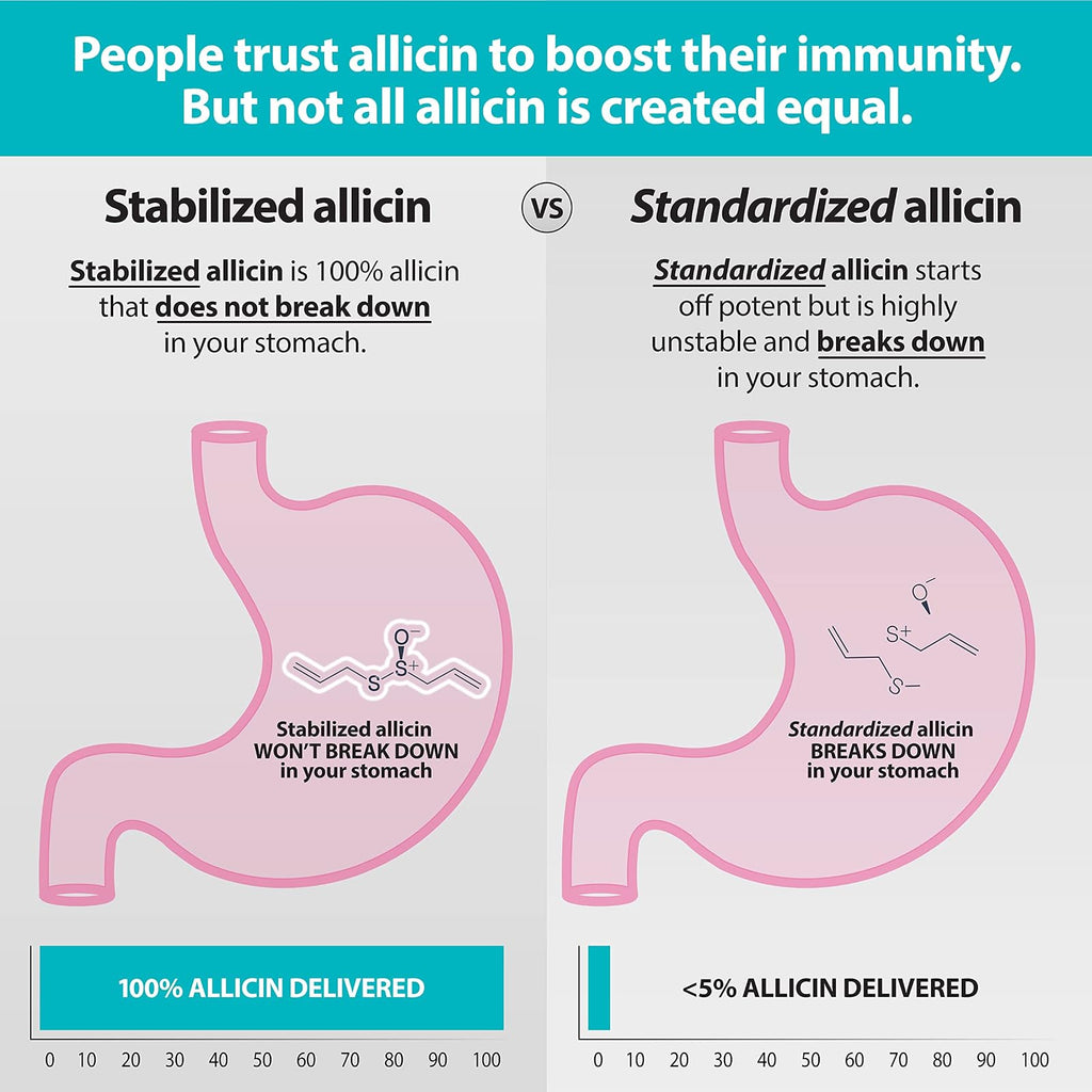 Stabilized allicin for digestive support