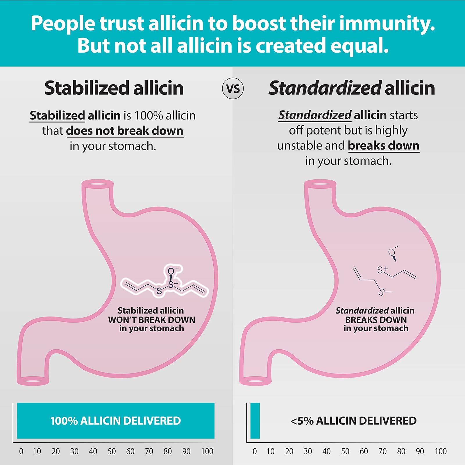 Stabilized allicin for digestive support