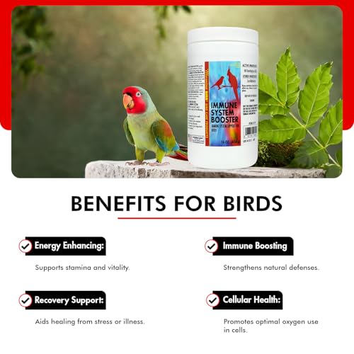 stamina-boosting powder for birds