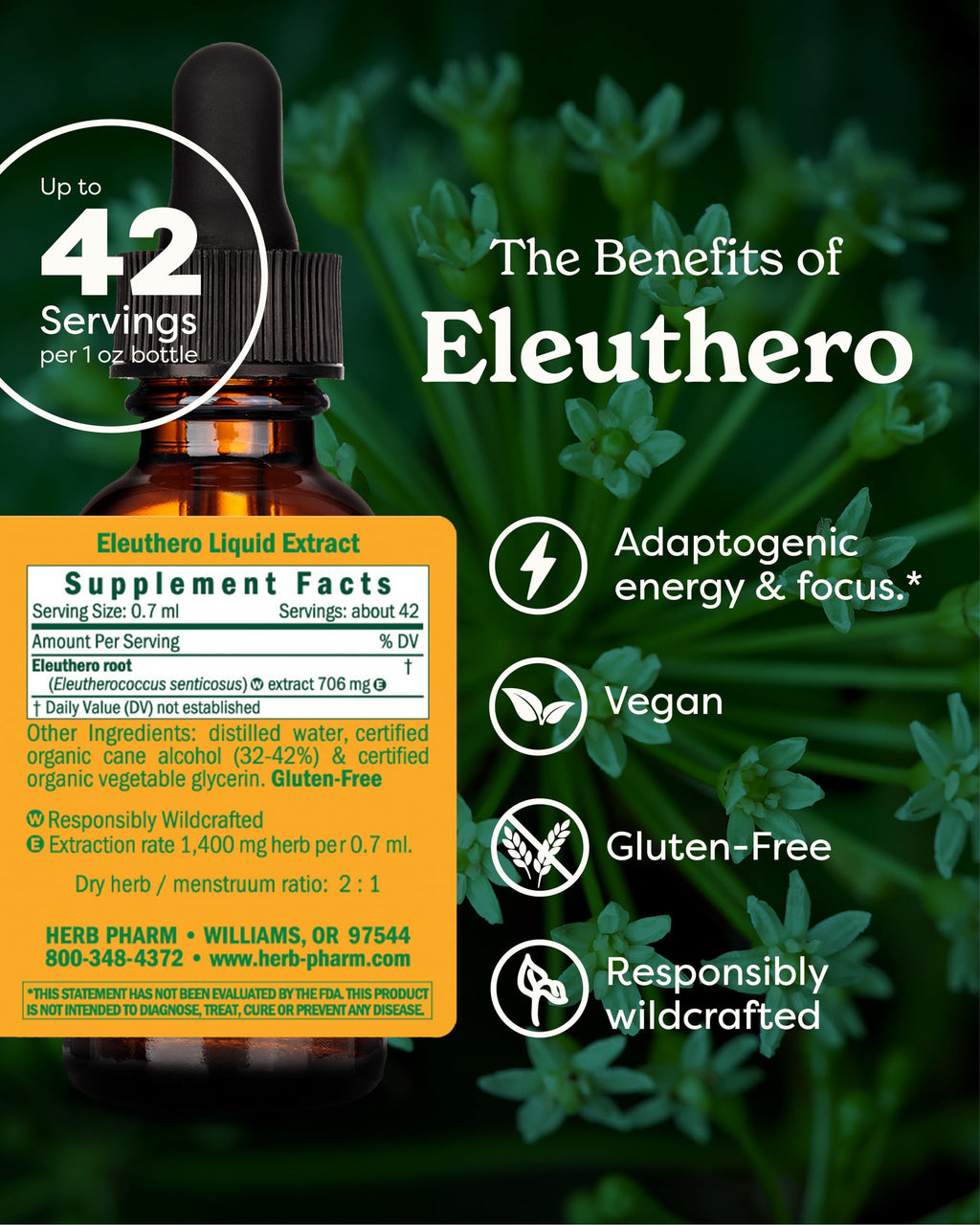 stamina support with Eleuthero root