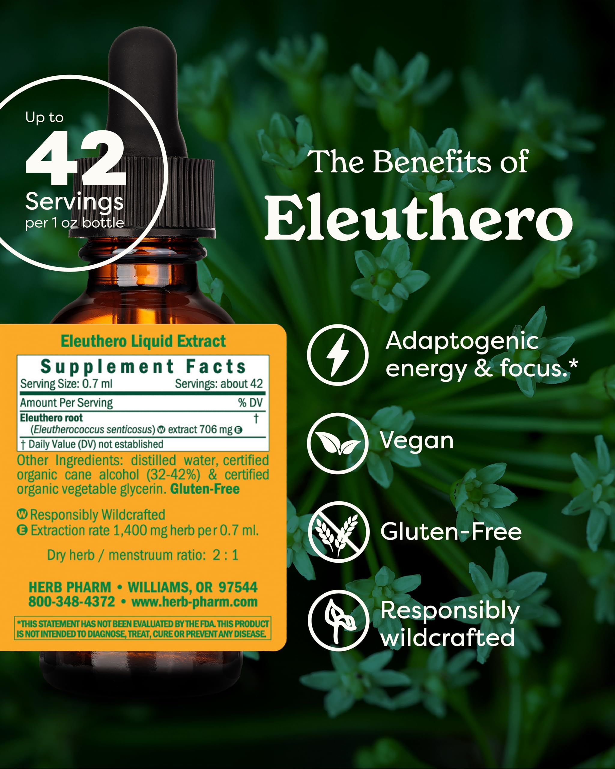 stamina support with Eleuthero root