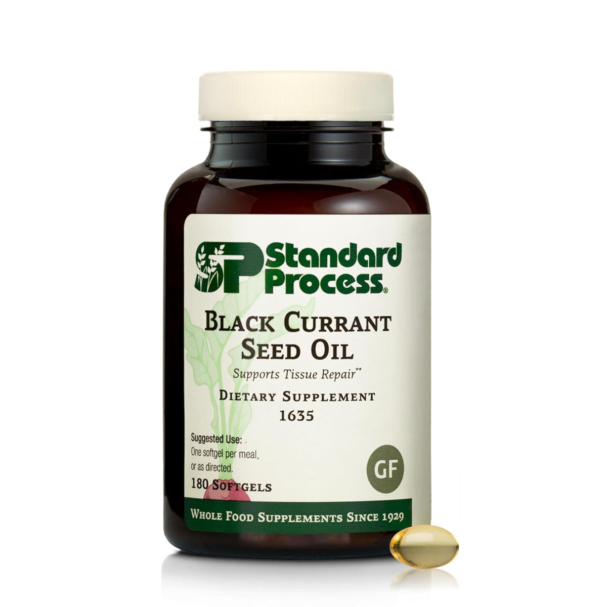 Standard Process black currant oil benefits
