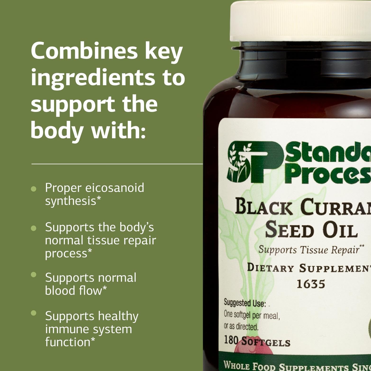 Standard Process black currant oil dosage