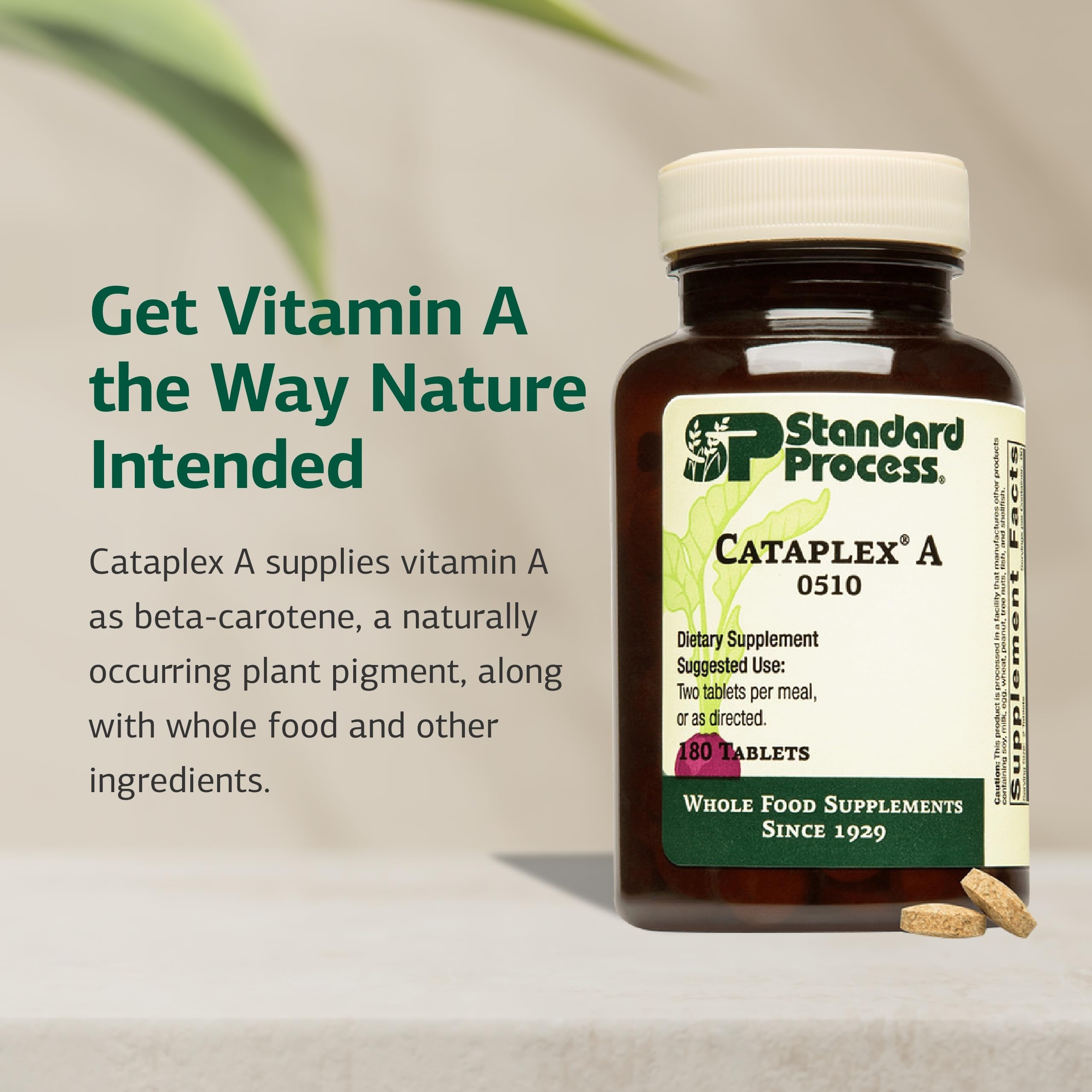Standard Process blended vitamin benefits