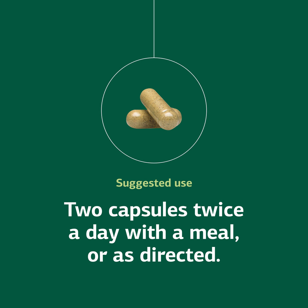 Standard Process Diaplex for overall health