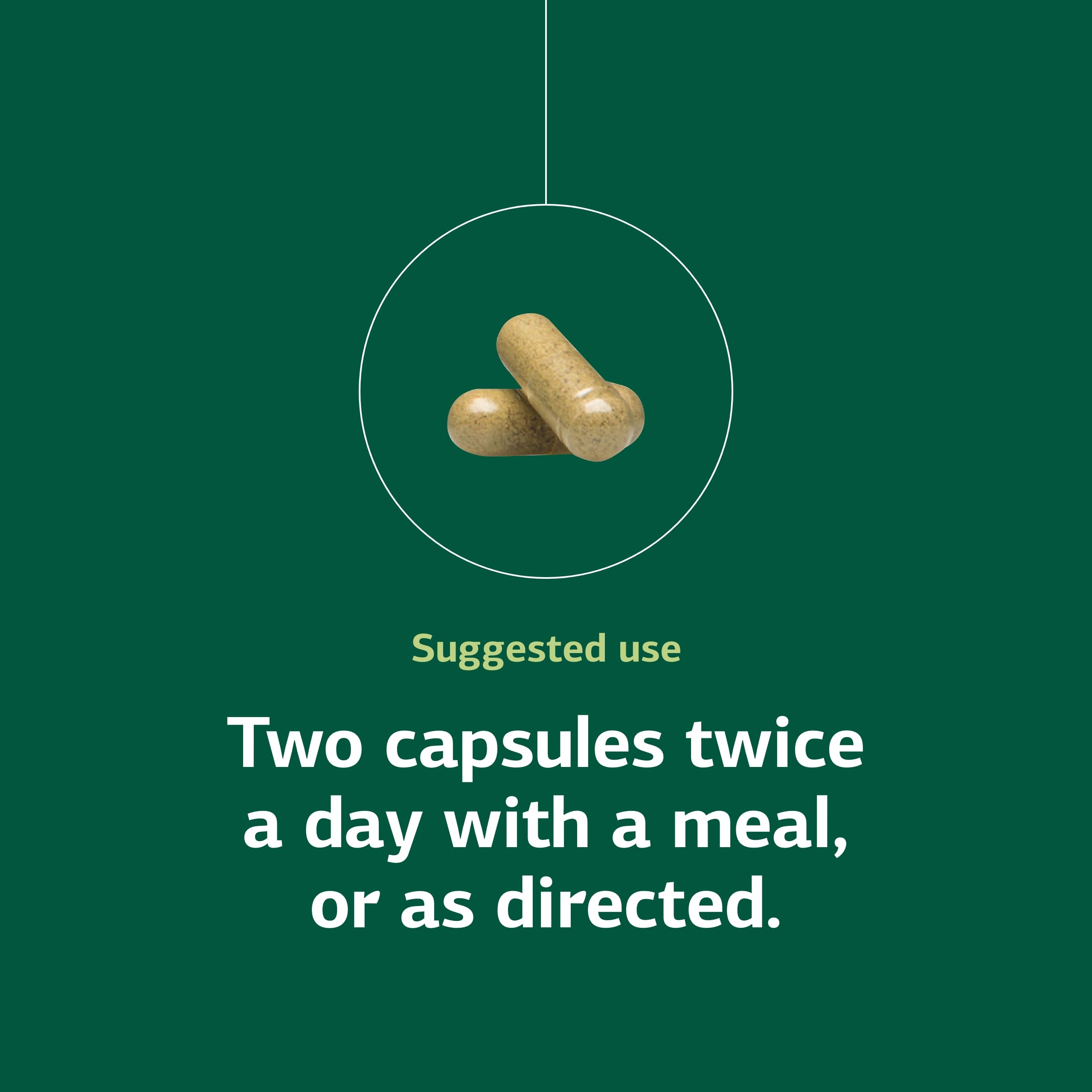 Standard Process Diaplex for overall health