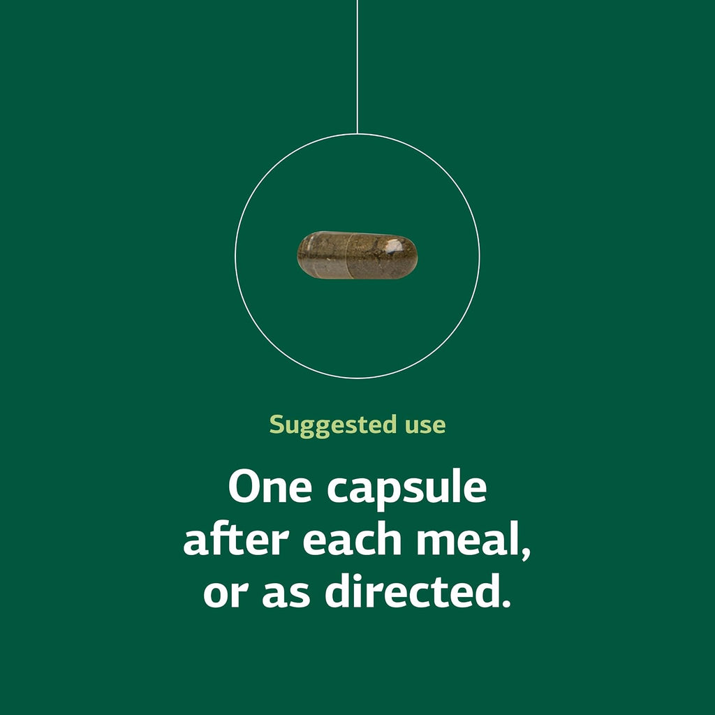 Standard Process digestive enzymes benefits