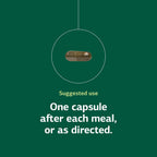 Standard Process digestive enzymes benefits