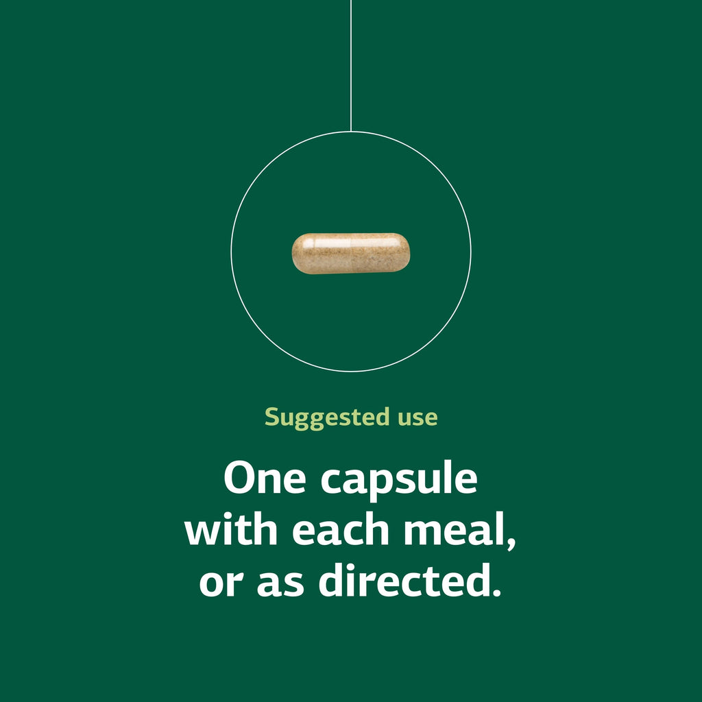 Standard Process energy boosting vitamins