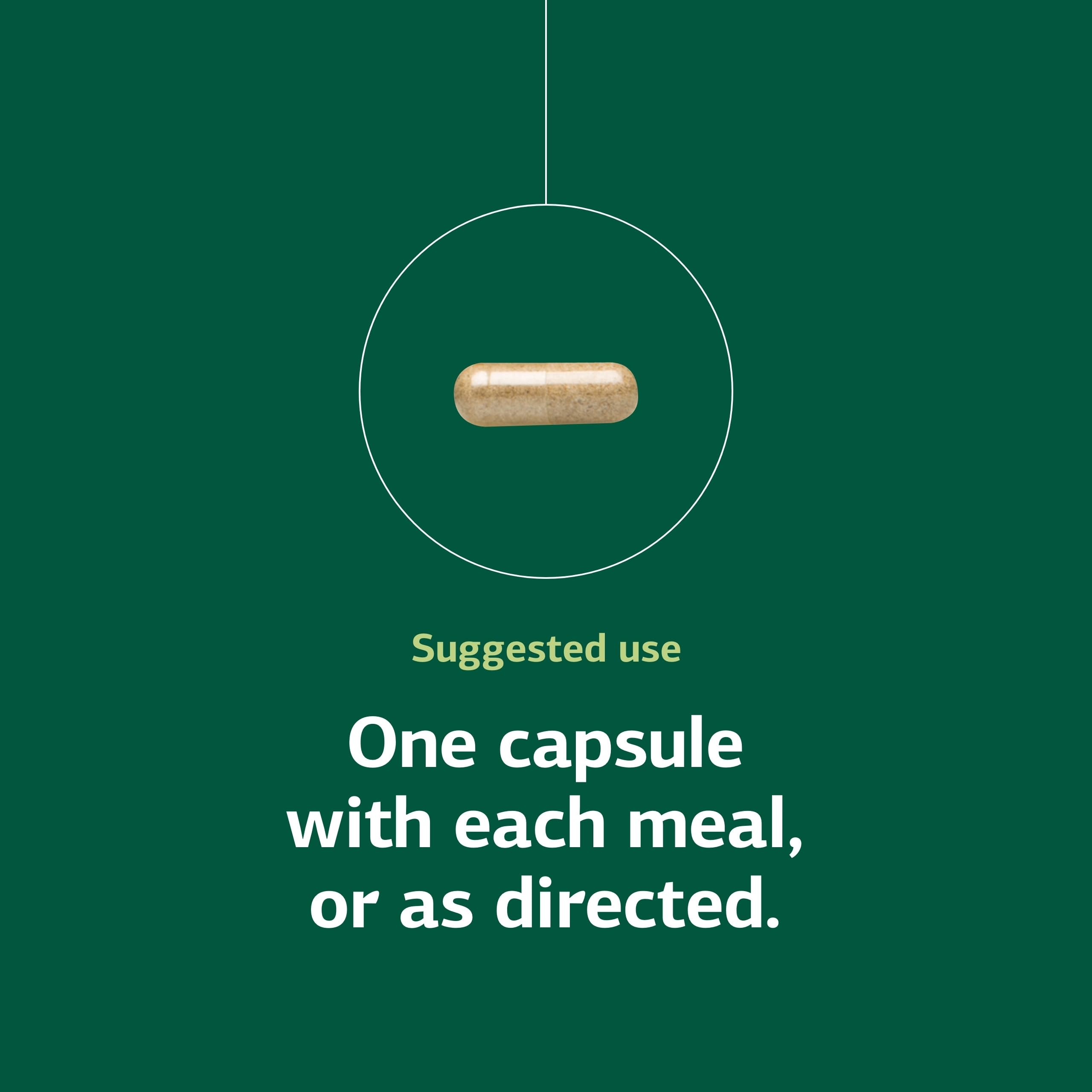 Standard Process energy boosting vitamins