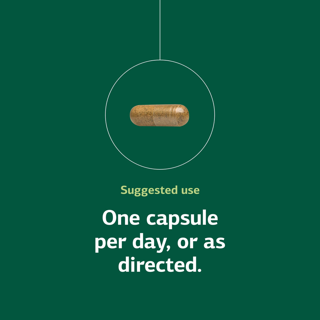 standard process ginkgo biloba capsules