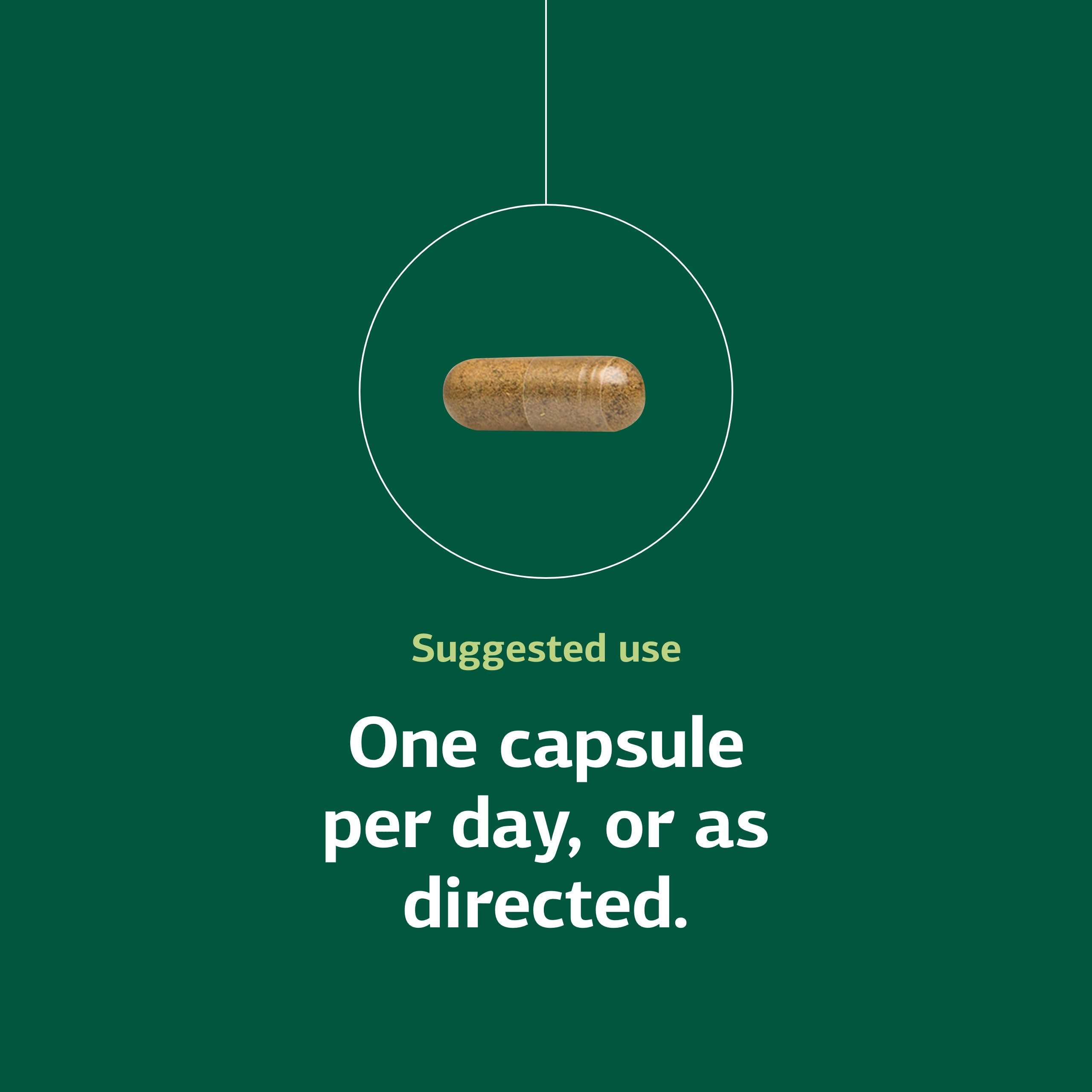 standard process ginkgo biloba capsules