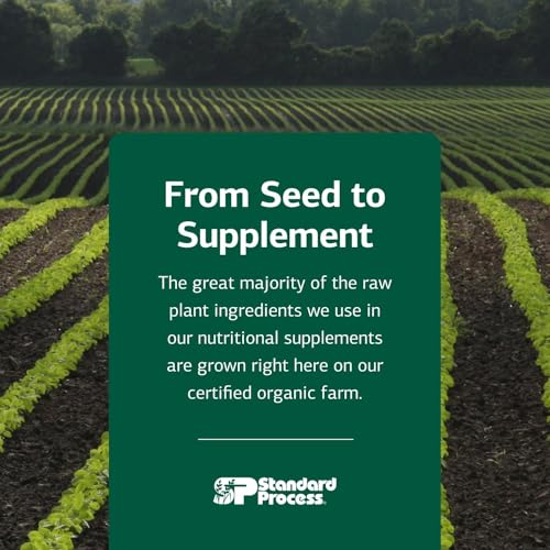 Standard Process iodine for energy support