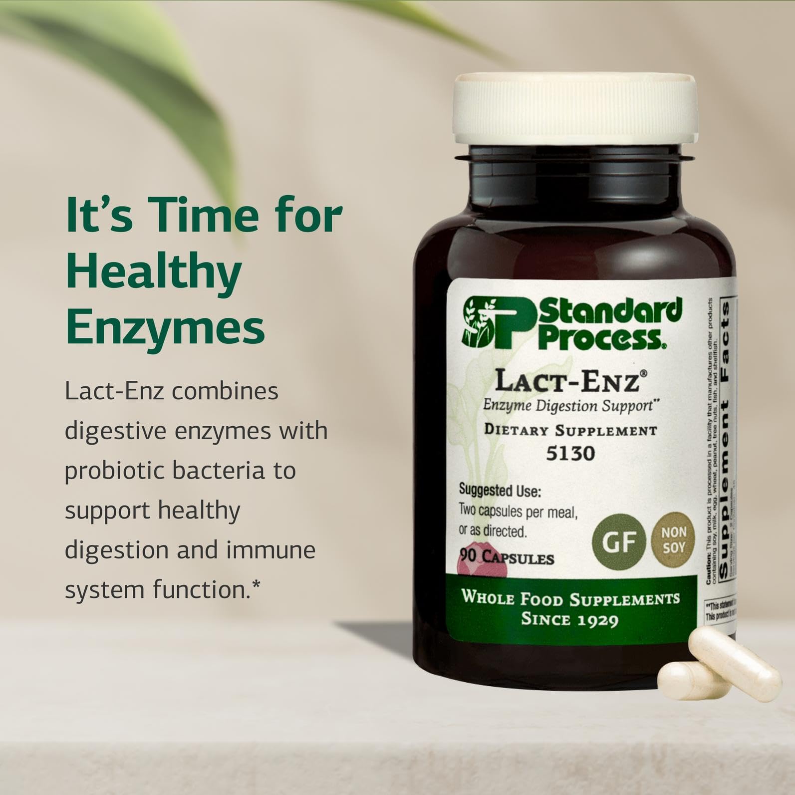 Standard Process Lact-ENZ capsules