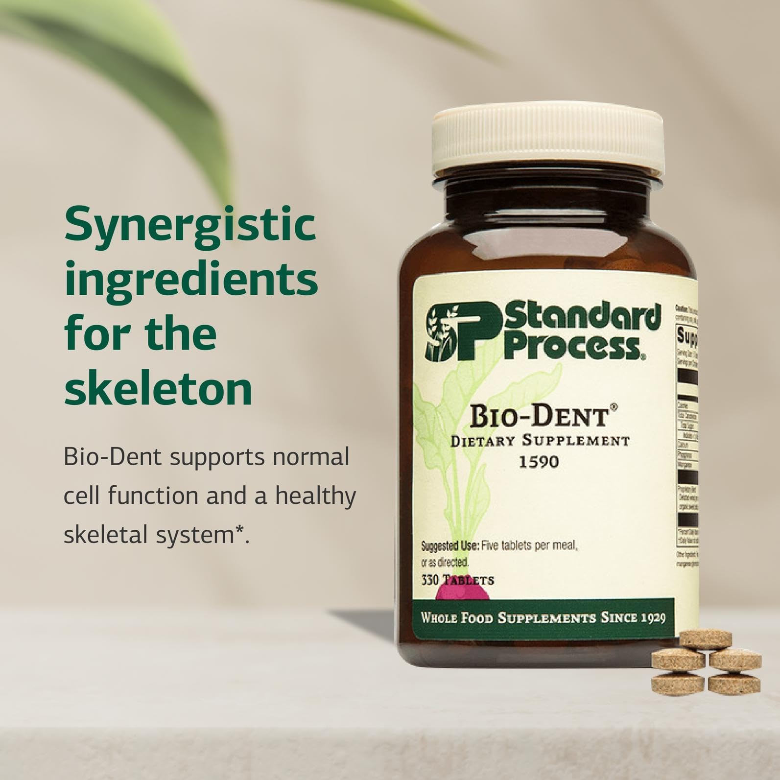 Standard Process mineral support for dental health
