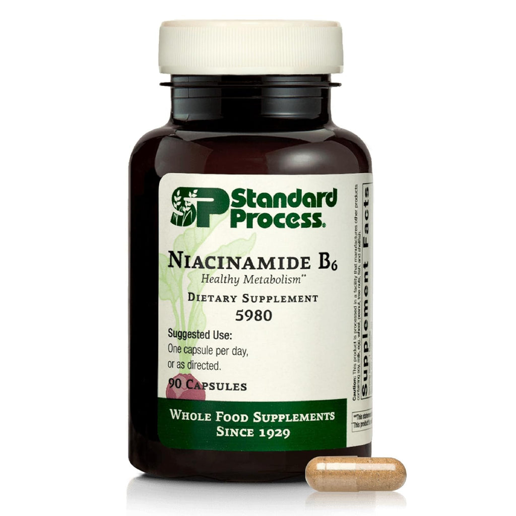 Standard Process Niacinamide B6 capsules