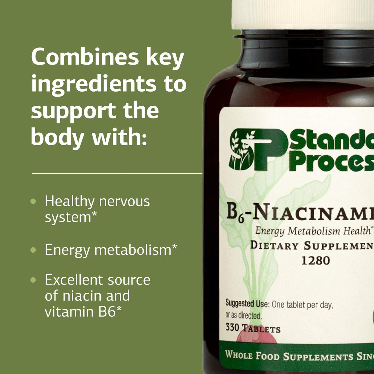 Standard Process vitamin B complex benefits