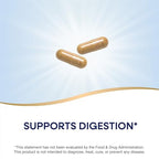 standardized artichoke extract for liver support