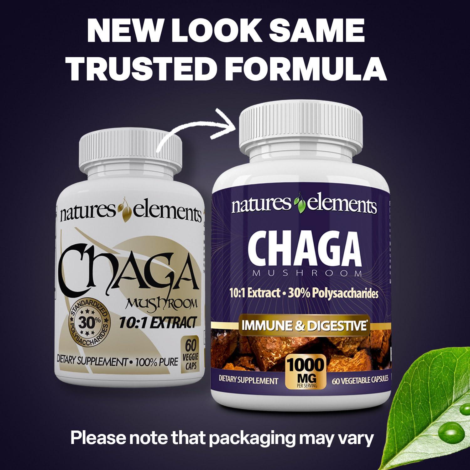 Standardized chaga mushroom extract benefits