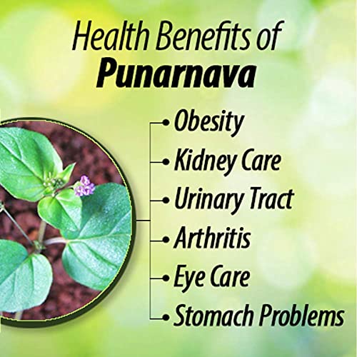 stearic punarnava for holistic health
