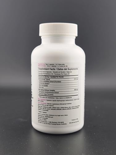 stem cell nutrition for overall wellness