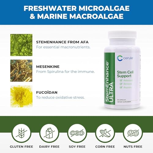 stem cell support for immune health