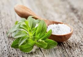 stevia extract powder for weight management