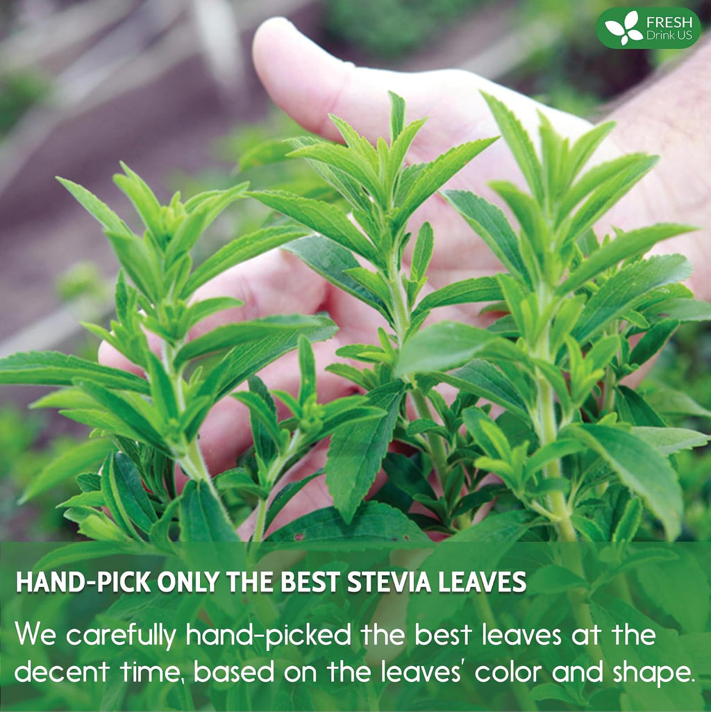 stevia leaves for sugar-free recipes