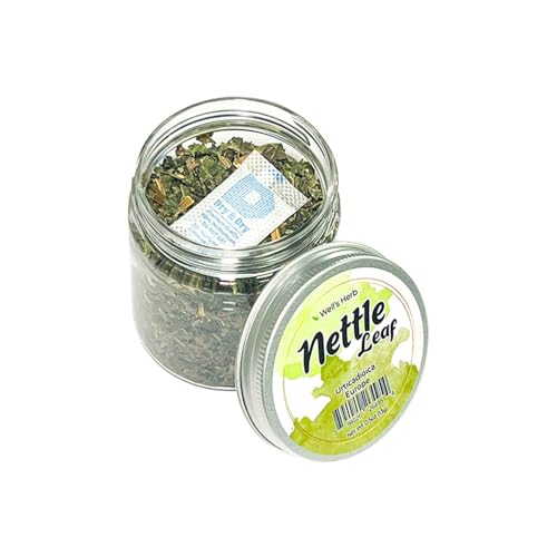 stinging nettle benefits for wellness