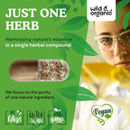 stinging nettle capsules for health