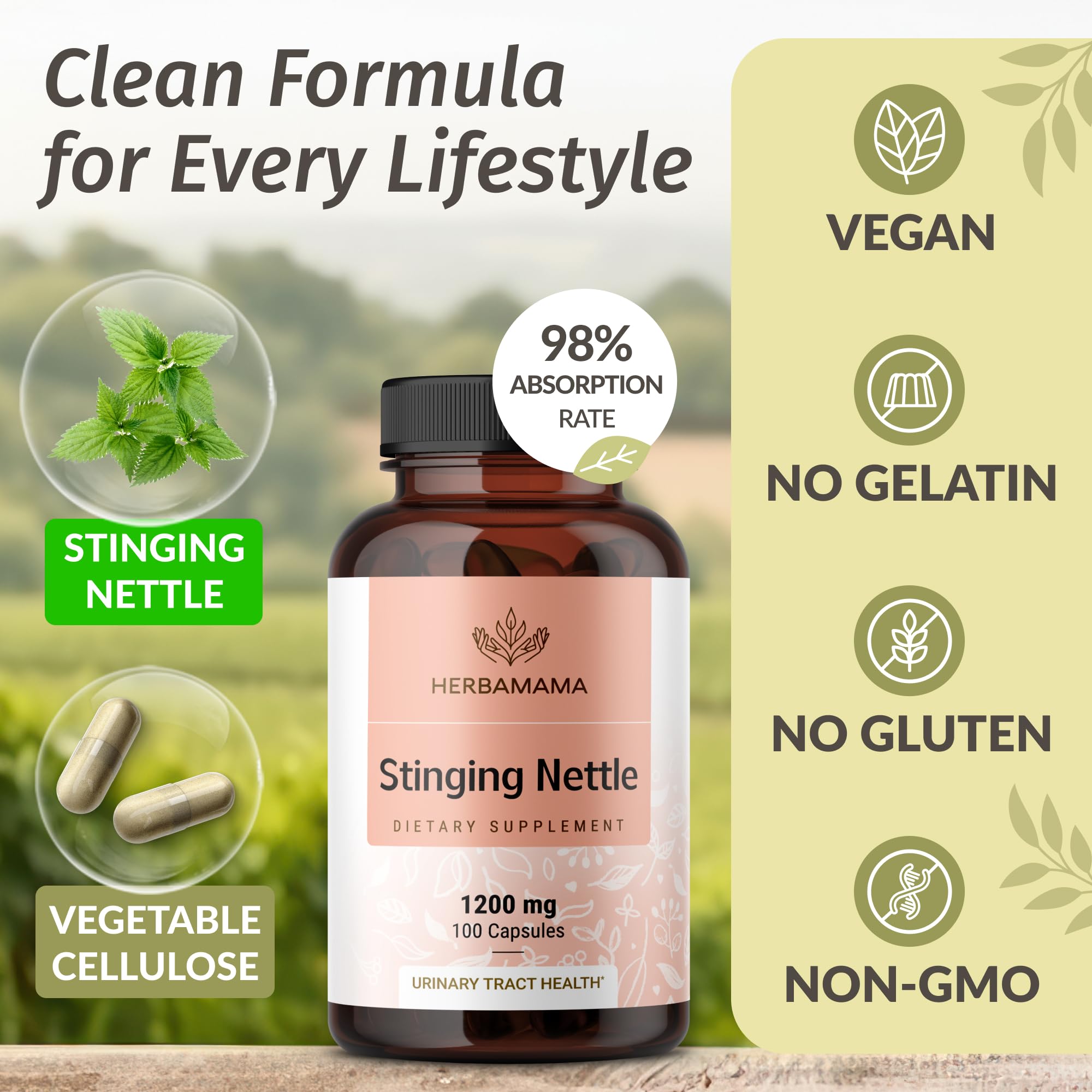 stinging nettle capsules for holistic health