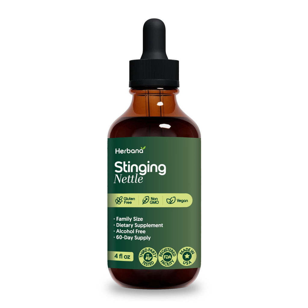 stinging nettle extract for detox