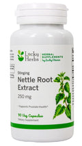 stinging nettle extract for hormonal support