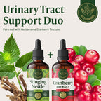 stinging nettle extract for men's health