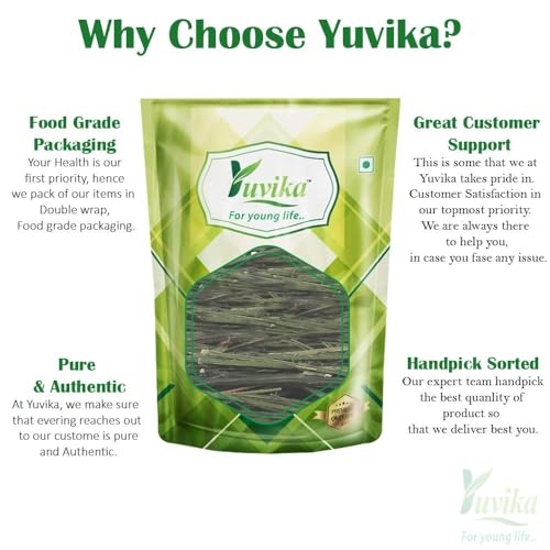 Stinging nettle extract for vitality