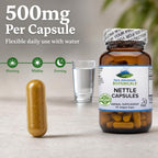 stinging nettle for allergy relief