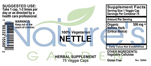 stinging nettle for digestive health
