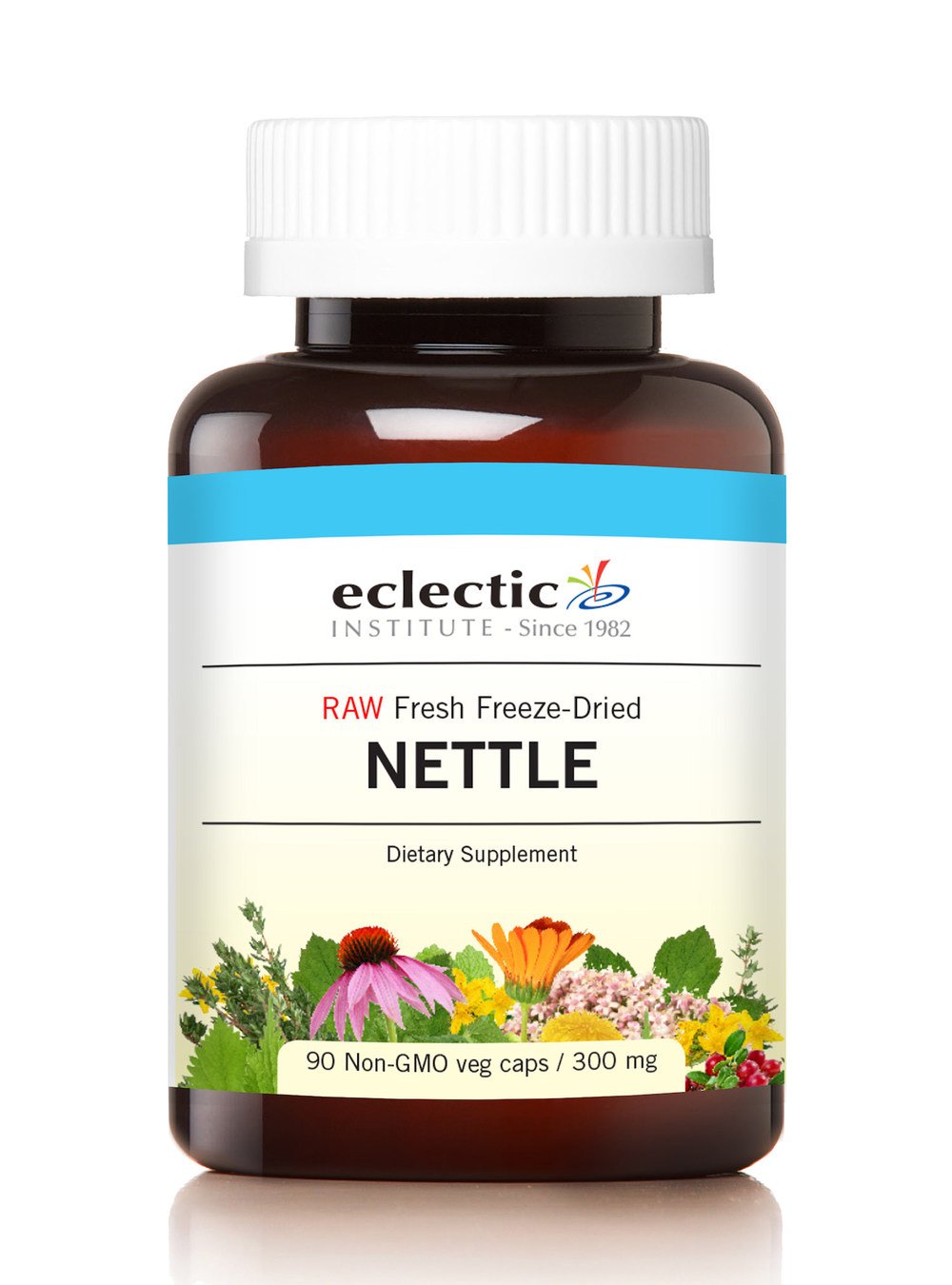 stinging nettle for health support
