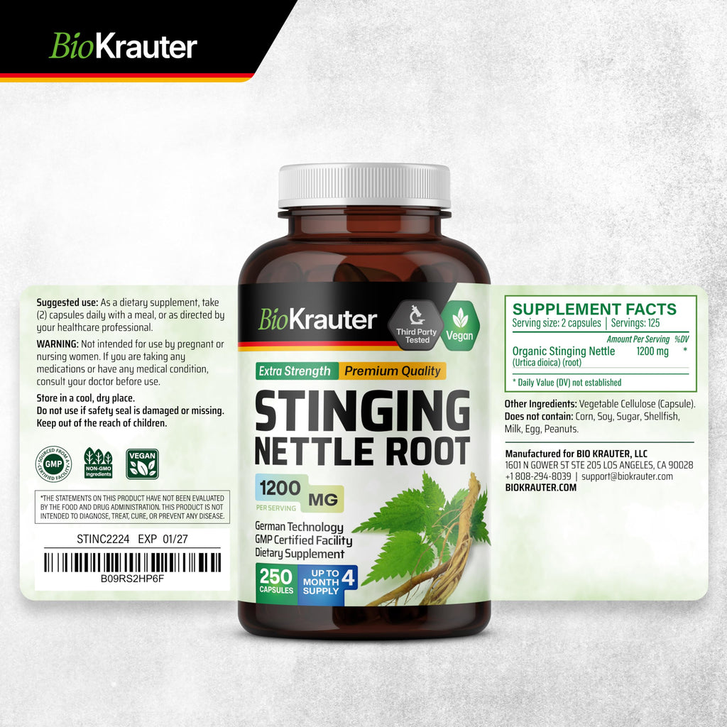 stinging nettle for holistic health