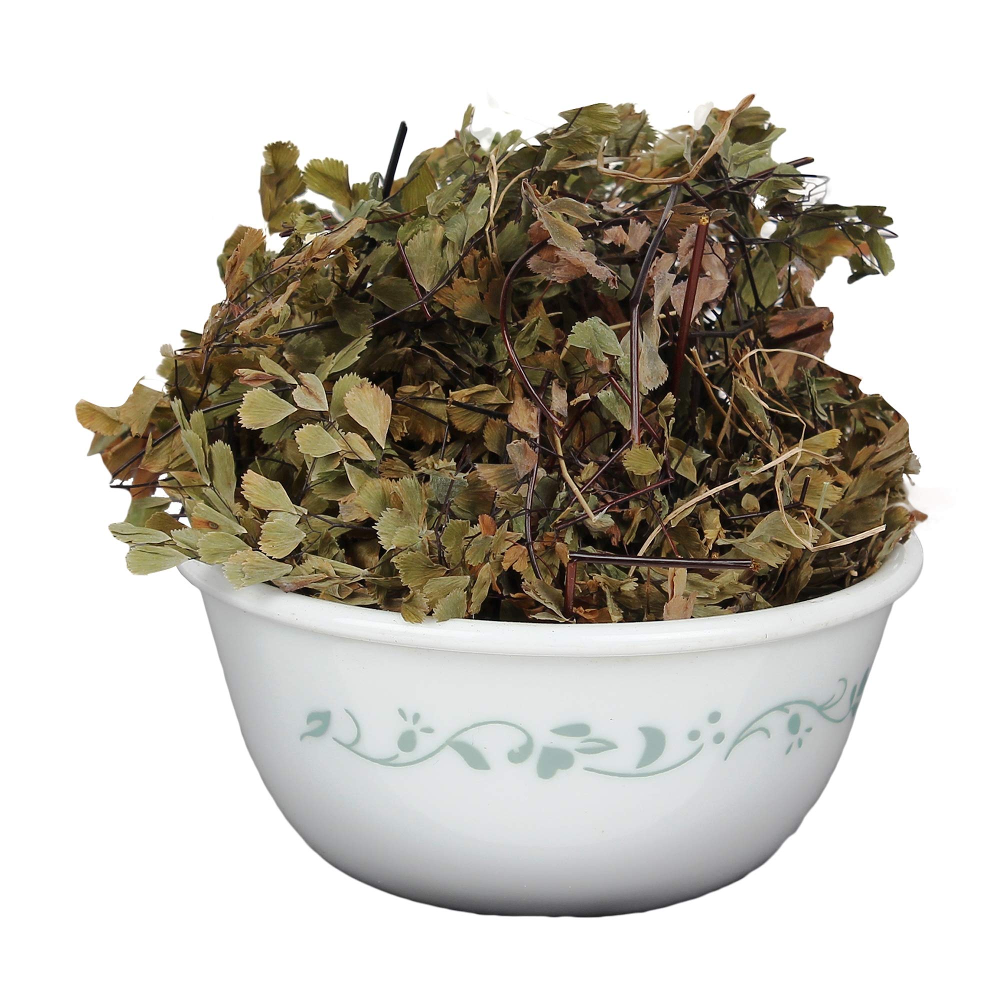 stinging nettle for hormonal balance