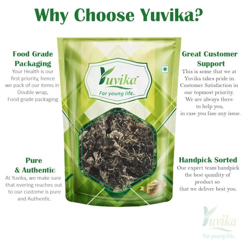stinging nettle for hormone balance