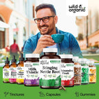 stinging nettle for immune support