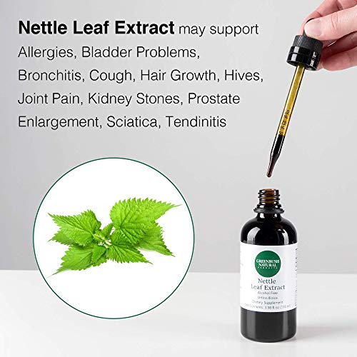 stinging nettle for immune support