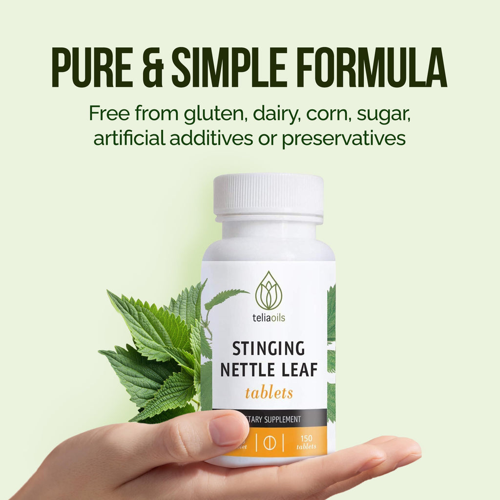 Stinging nettle for improved immune function