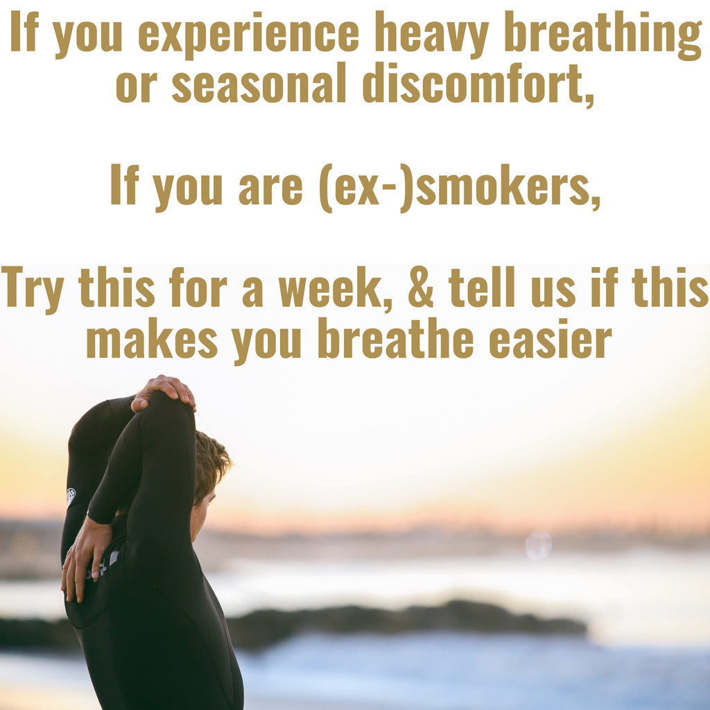 stinging nettle for lung health