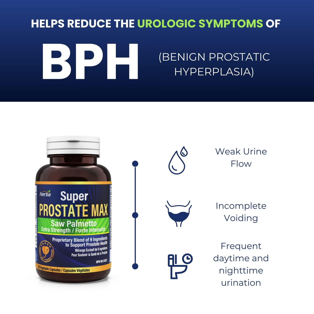 stinging nettle for optimal prostate function