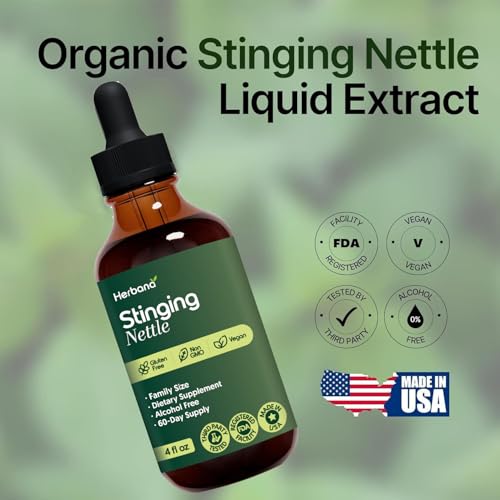 stinging nettle for overall health