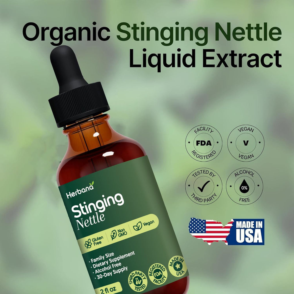 stinging nettle for overall wellness