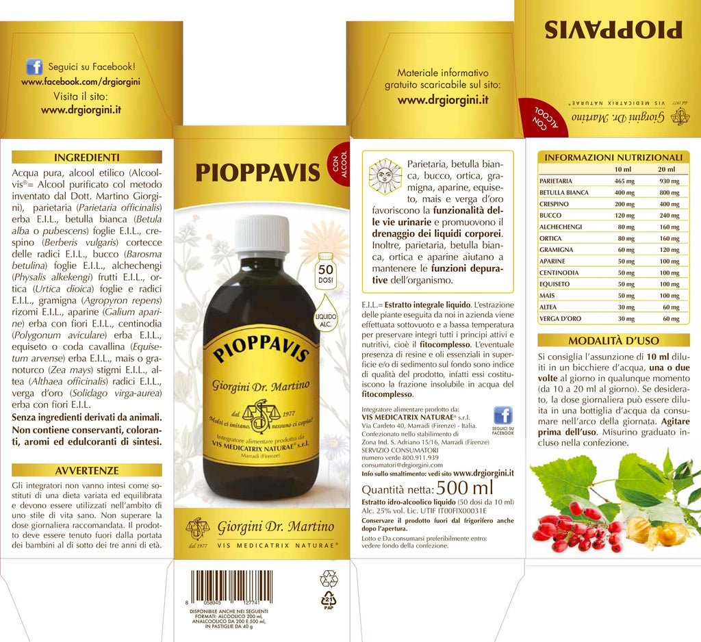 stinging nettle for overall wellness