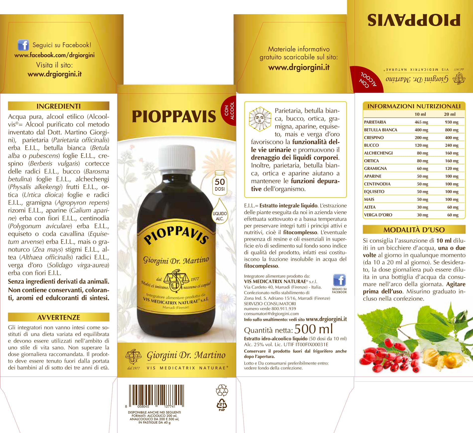 stinging nettle for overall wellness